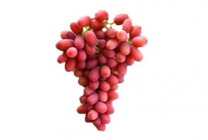 GrapeCo - Australian Quality Table Grapes | Varieties