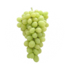 GrapeCo - Premium Table Grapes in Australia