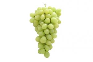 Varieties - GrapeCo - Australian Quality Table Grapes